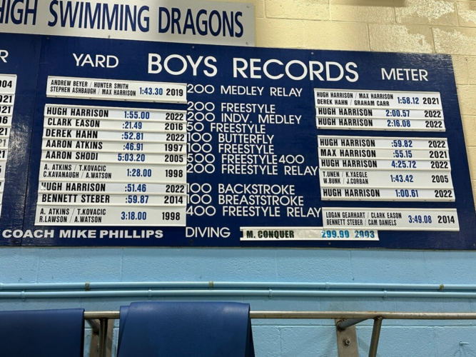 Harrison breaks 2 more records for Warren swim | News, Sports, Jobs ...